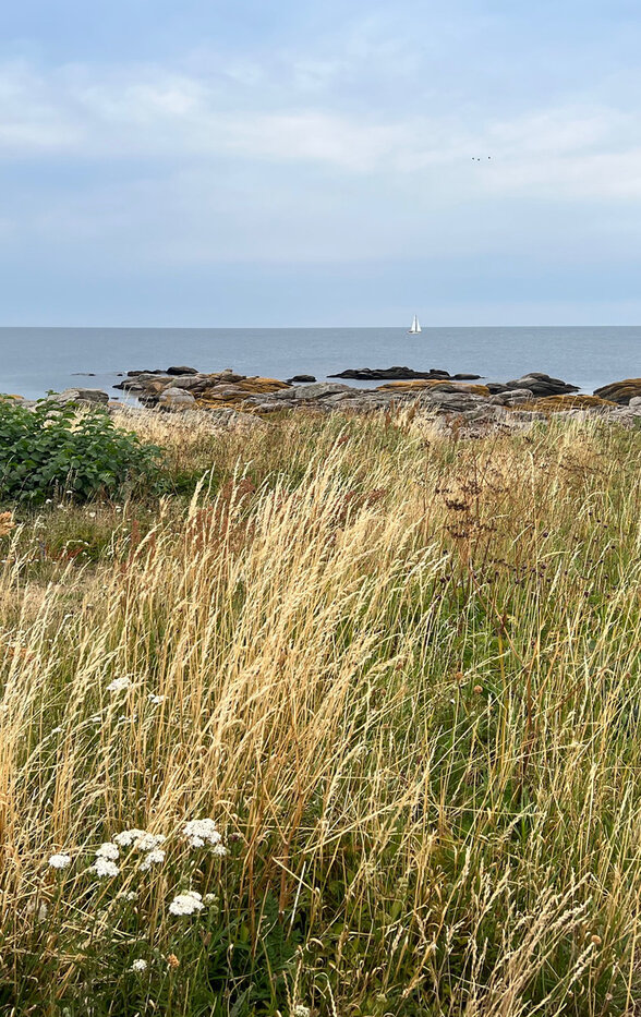 Michael Kobr - Offizielle Portraits und Pressebilder